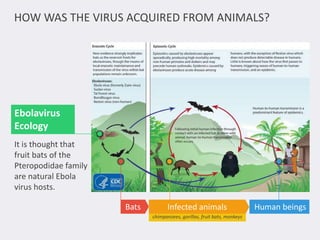 All about ebola virus (complete info.) | PPTX