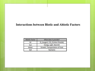 All About Ecosystems | PPT