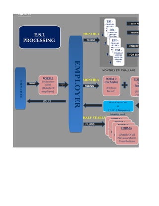 All About Esi | PPT