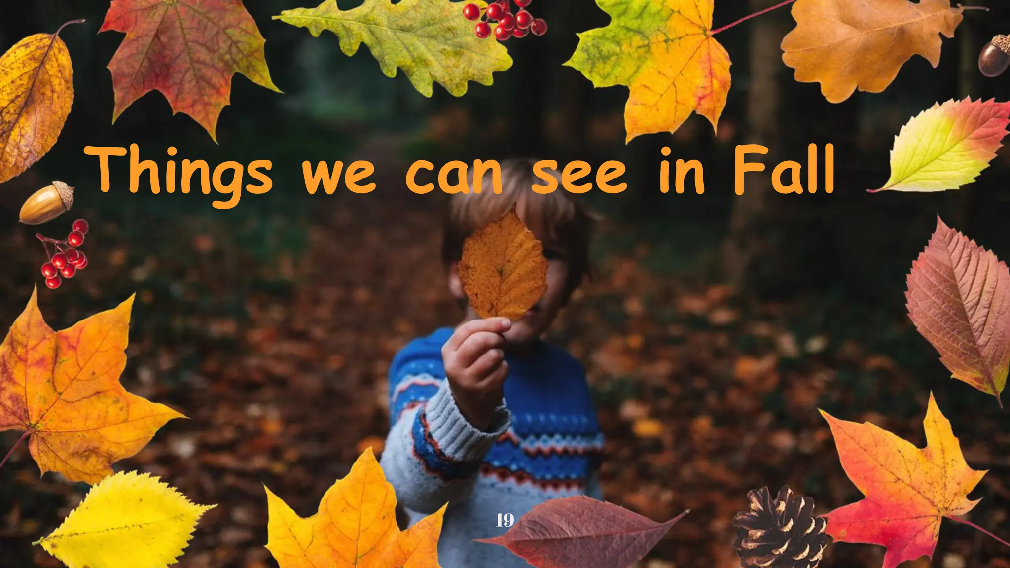 Useful information about the season fall | PPT