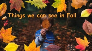 Useful information about the season fall | PDF