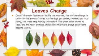 Useful information about the season fall | PPT