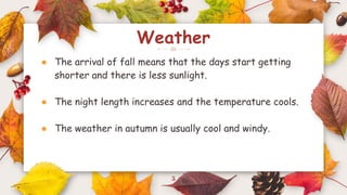 Useful information about the season fall | PPT