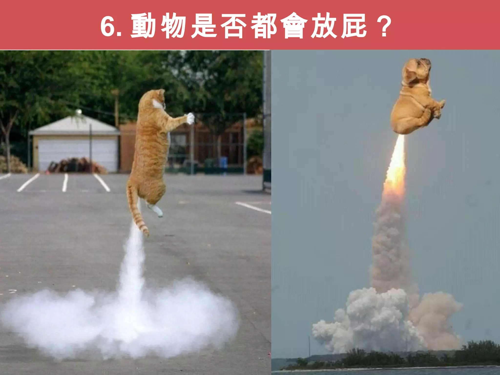 All about fart part 3 | PPT