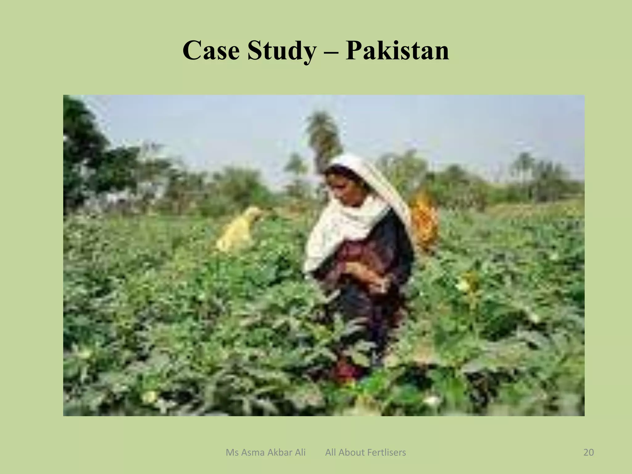 All about fertilizers - Case study of Pakistan | PPTX