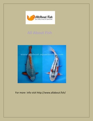 All about fish | PDF