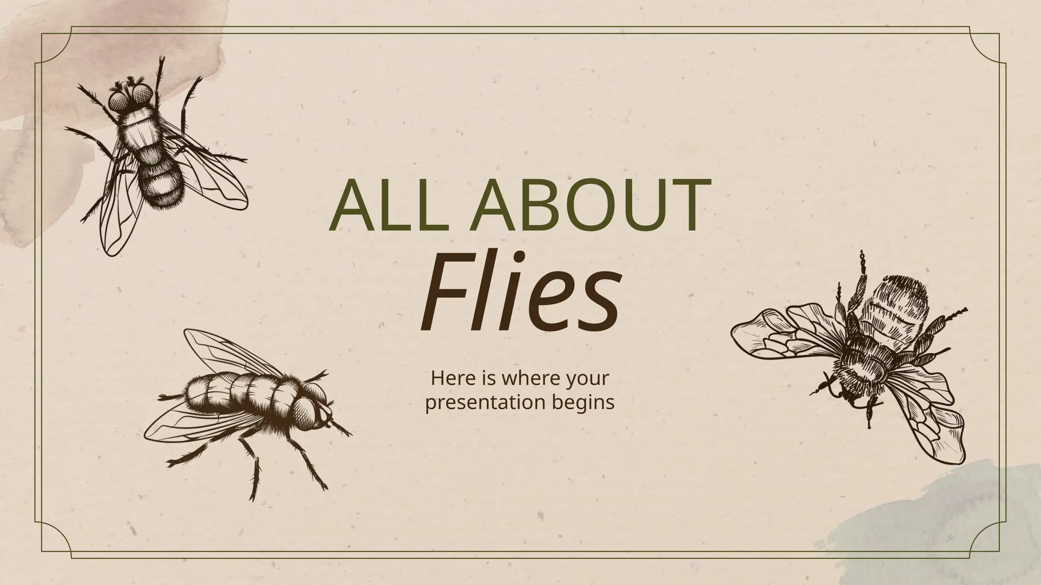 All about Flies by Slidesgo plantilla.pptx