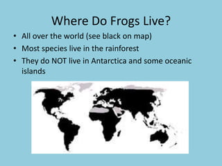 allaboutfrogs-ppt-110325163556-phpapp01.pdf