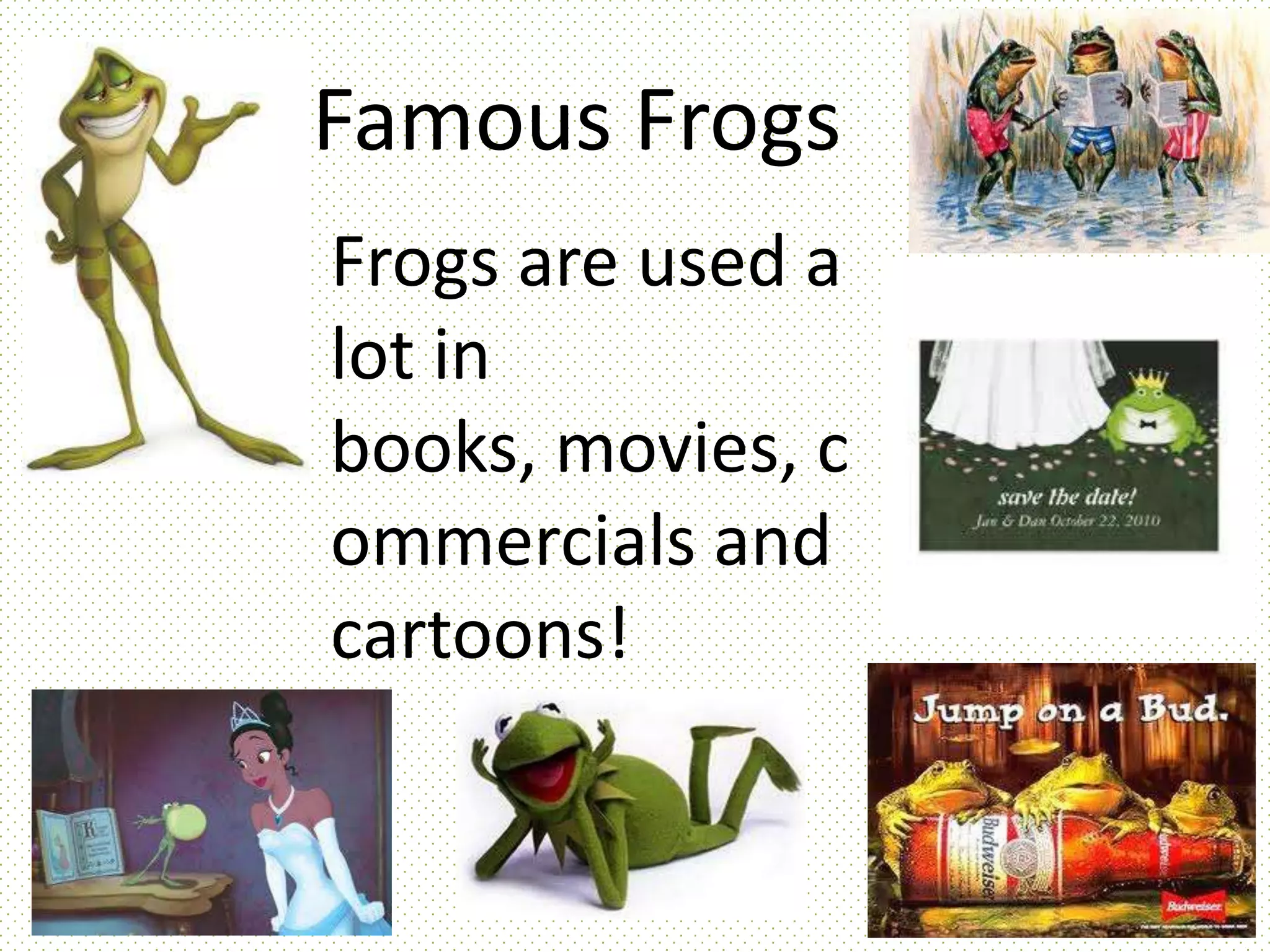 All about frogs!.ppt