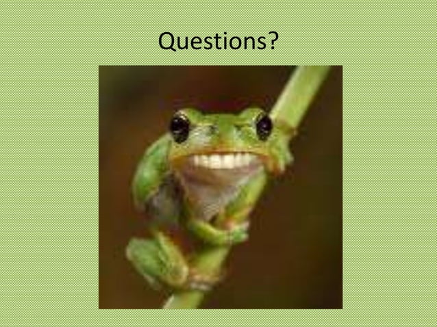 All about frogs!.ppt