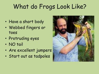 All about frogs!.ppt