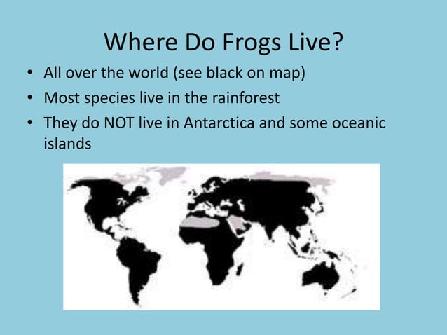 All about frogs!.ppt