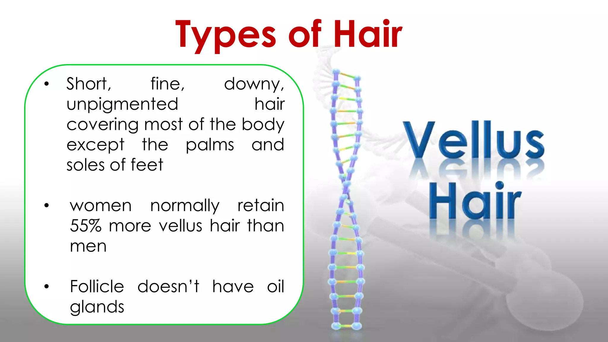 All about hair ppt | PPTX