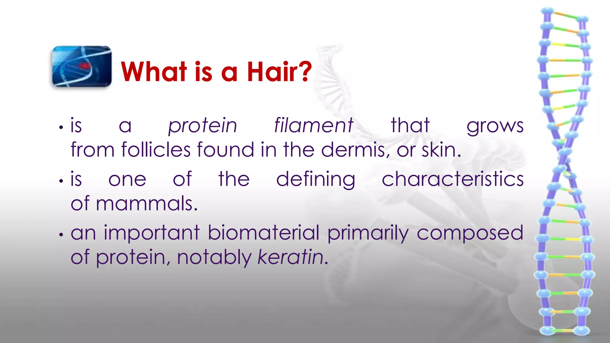 All about hair ppt | PPTX