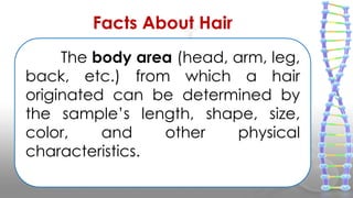 All about hair ppt | PPTX