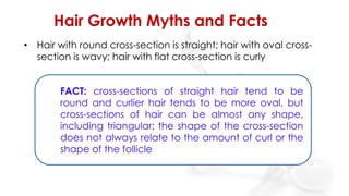 All about hair ppt | PPTX