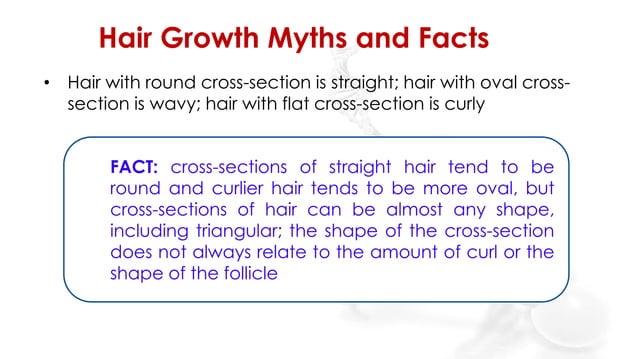 All about hair ppt | PPTX | Hair Care | Beauty