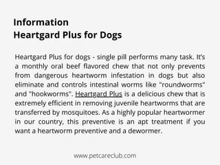 All about heartgard plus for dogs | PDF
