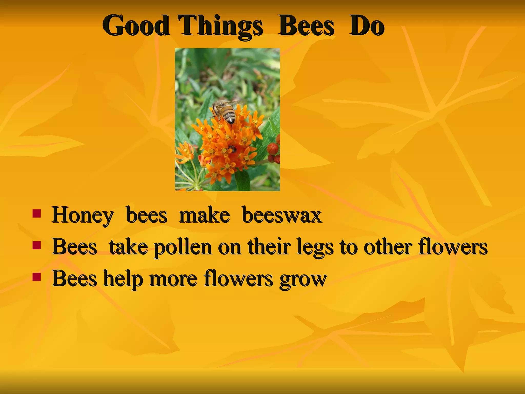 All about honey bees | PPT