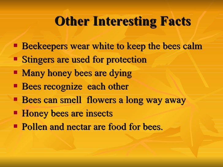 All About Honey Bees all-about-honey-bees