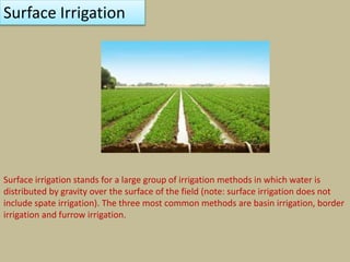 Information About Water Irrigation | PPTX