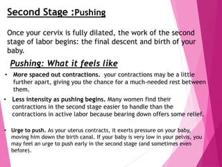 All about making a baby .pptx