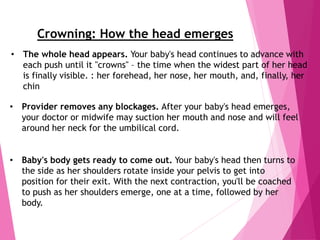 All about making a baby .pptx