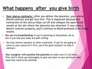 All about making a baby .pptx