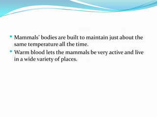 All about mammals | PPTX