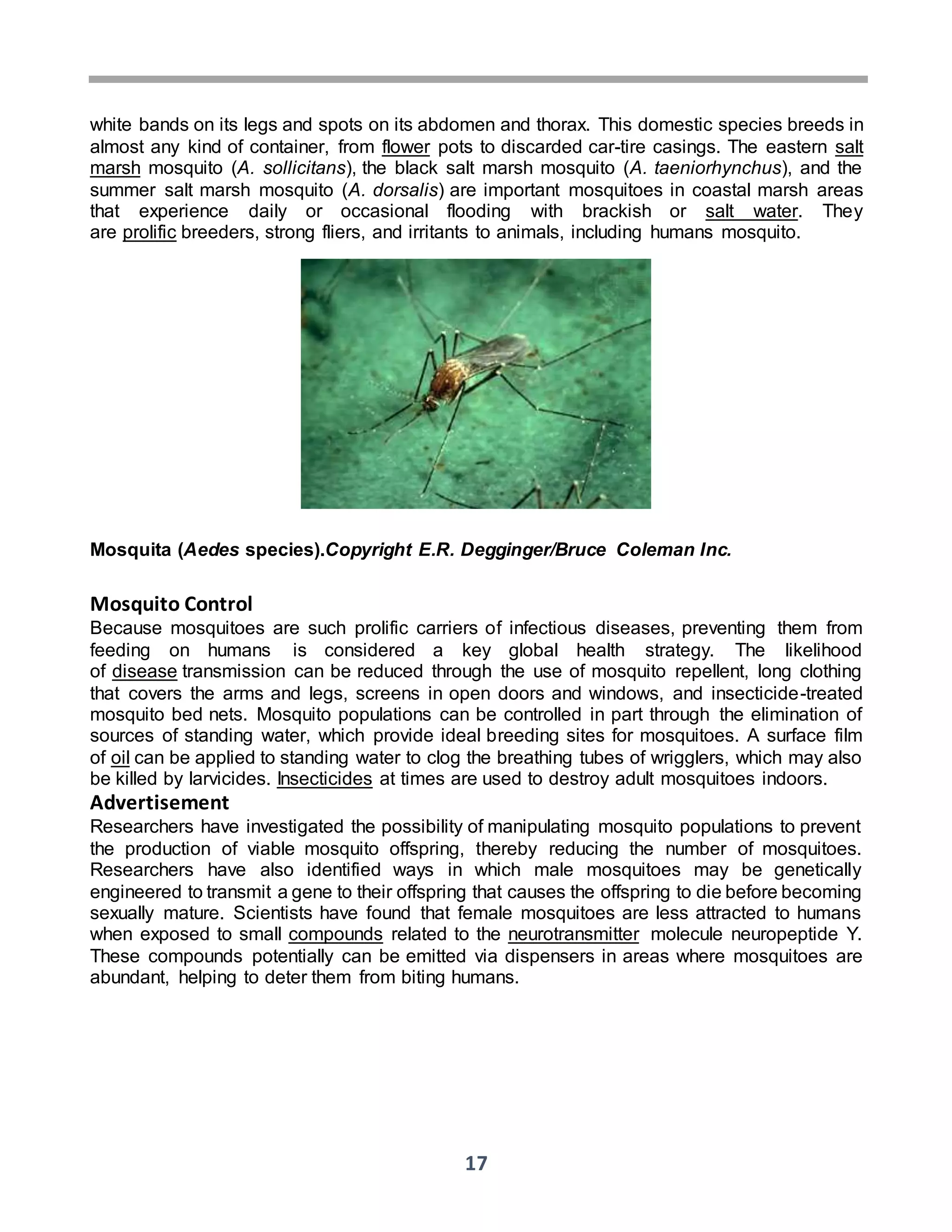 All about mosquito | DOCX