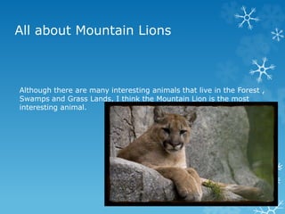 All about Mountain Lions | PPTX