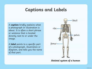 All aboutnonfictiontextfeaturespowerpoint | PPT