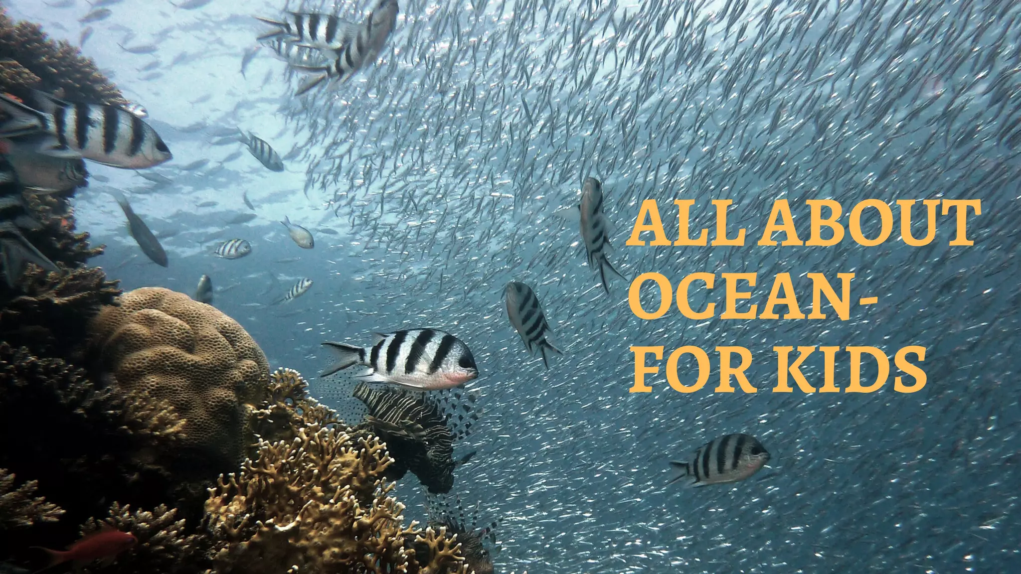 All about oceans for kids | PDF