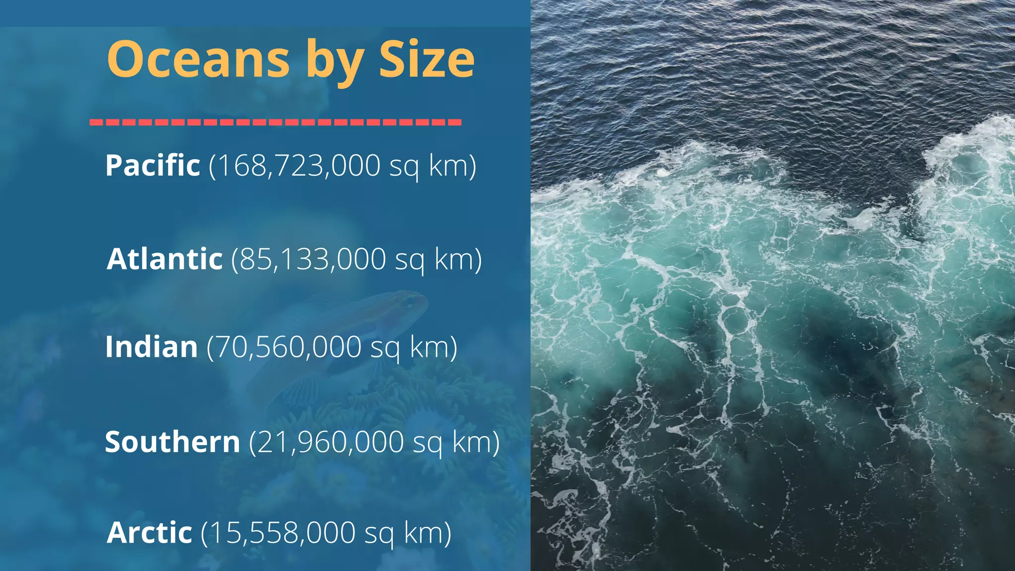 All about oceans for kids | PDF