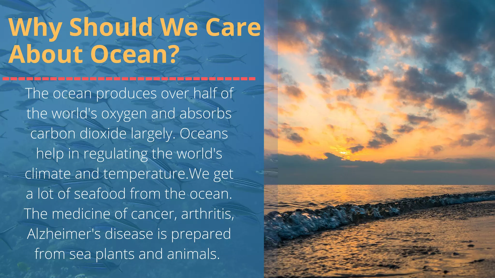 All about oceans for kids | PDF