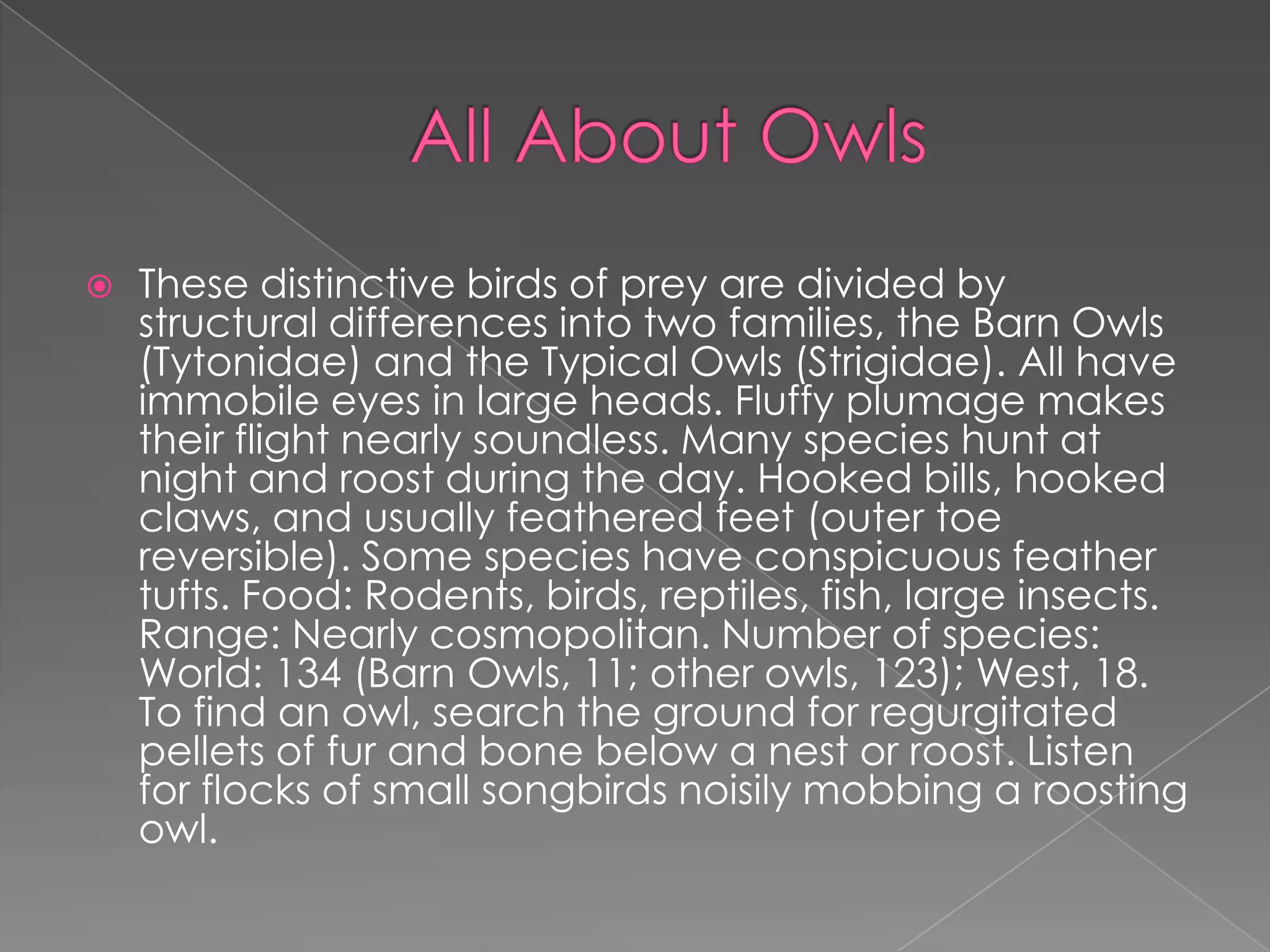 All About Owls | PPTX