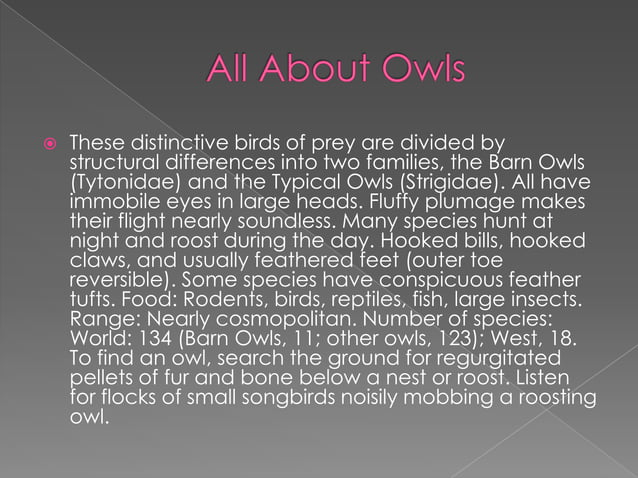 All About Owls | PPTX | Birdwatching | Hobbies & Interests