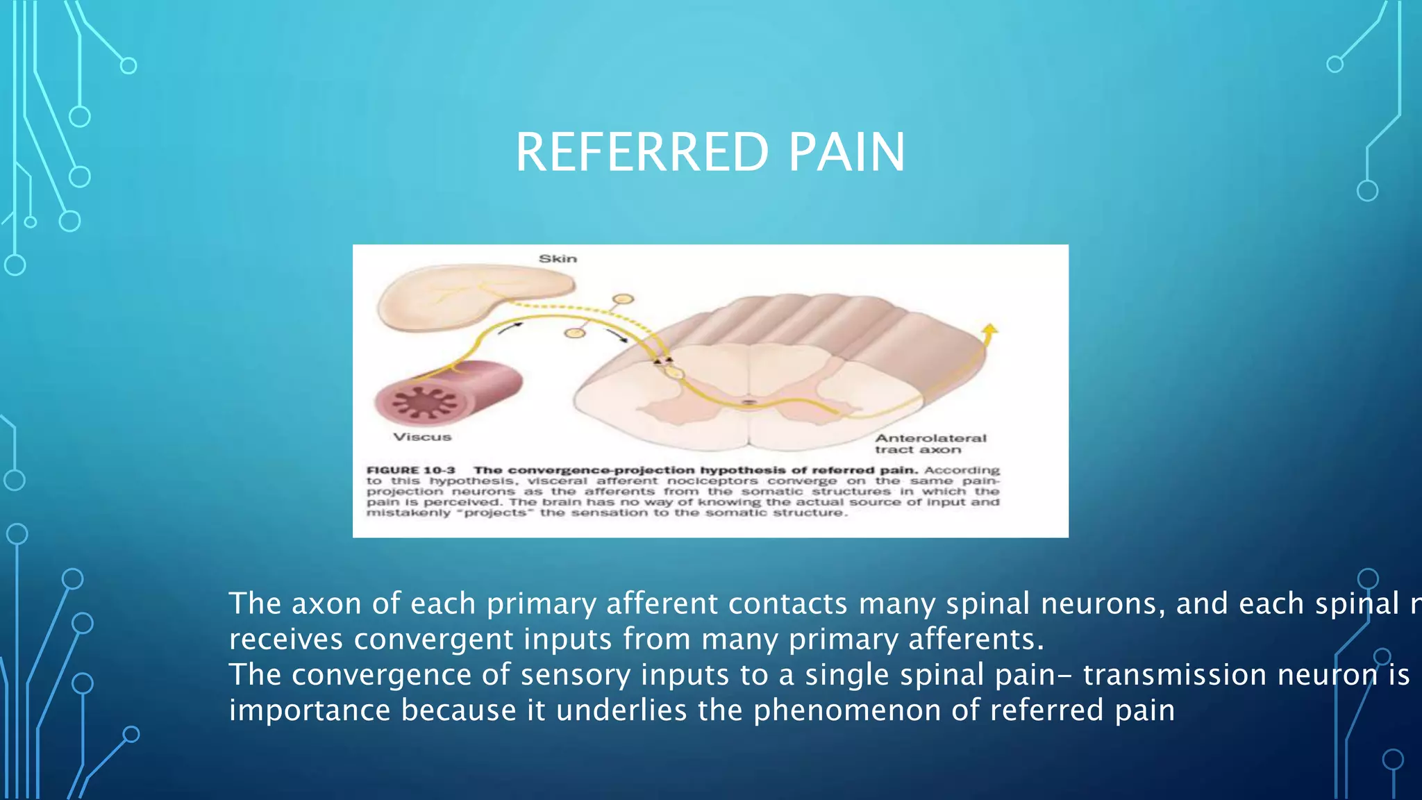 pain physiology , pathology, types , assessment, management , recent ...
