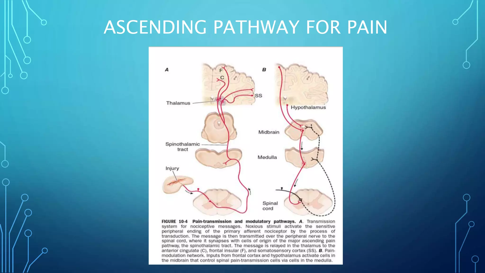 pain physiology , pathology, types , assessment, management , recent advances | PPTX