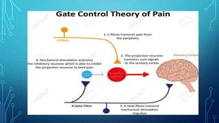 pain physiology , pathology, types , assessment, management , recent ...