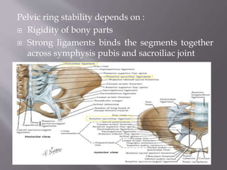 All about pelvic | PPTX