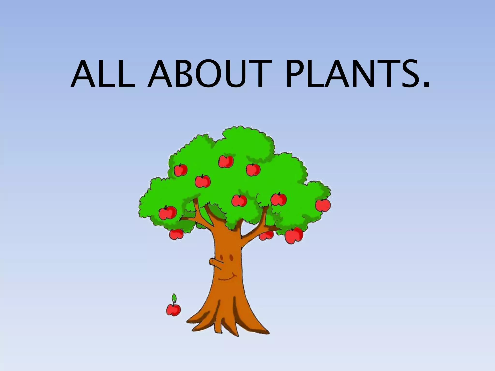 All about plants | PPTX
