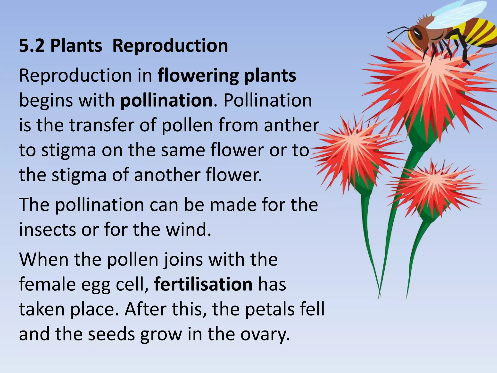 All about plants | PPTX