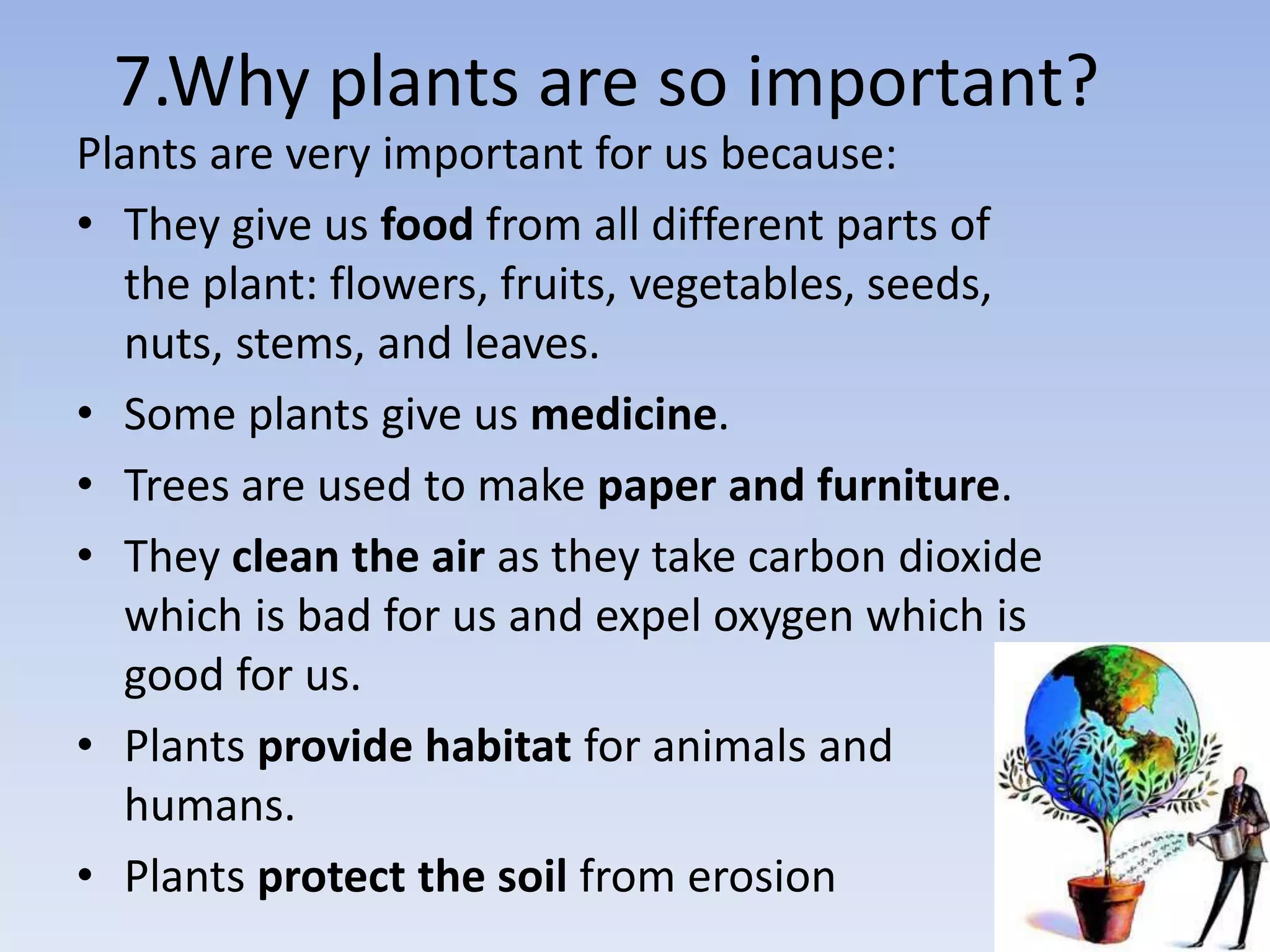 All about plants | PPTX