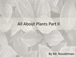 All About Plants - Photosynthesis | Alex Noudelman | PPTX