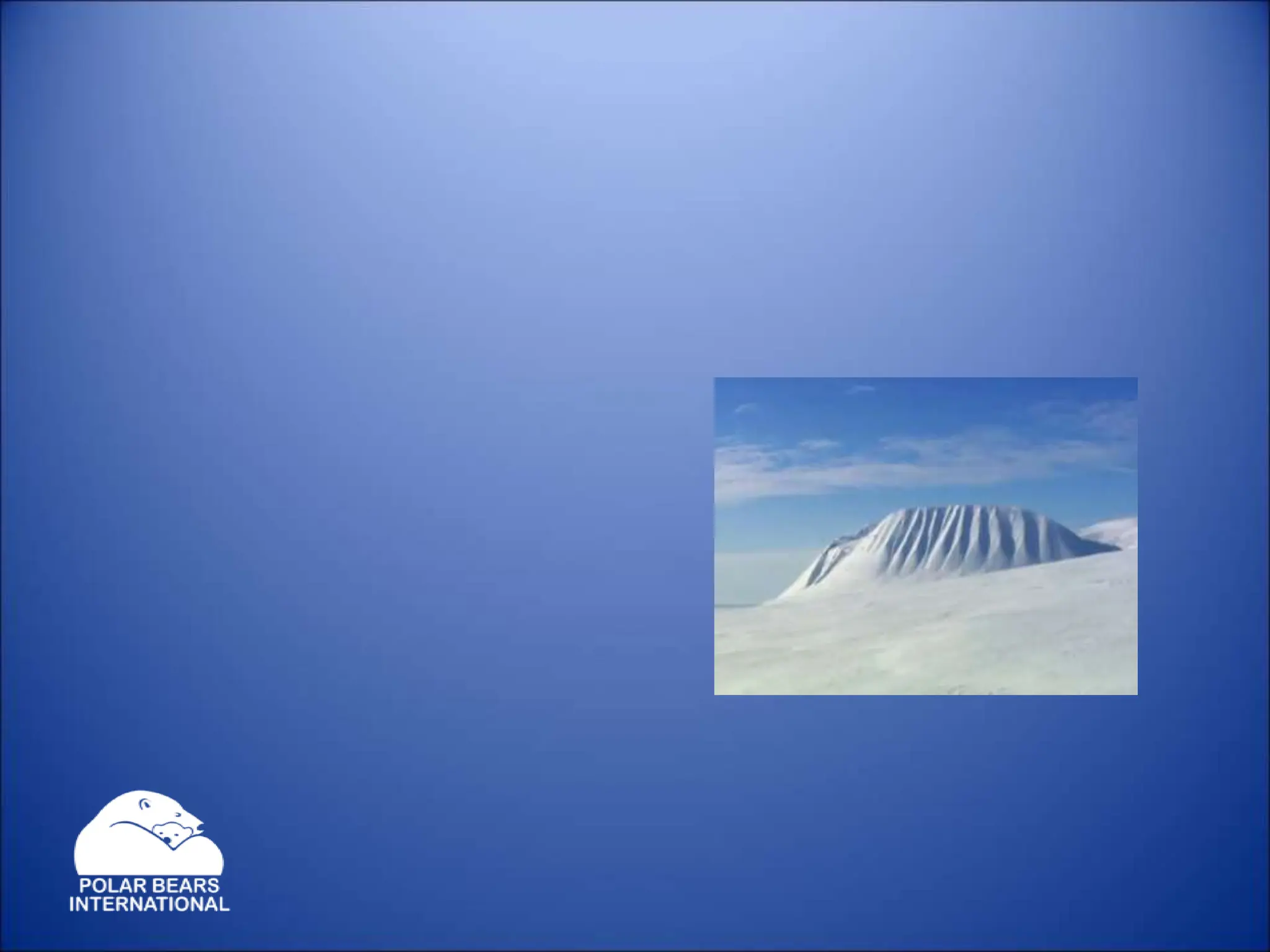 All About Polar Bears prsentación en inglés ppt | PPT