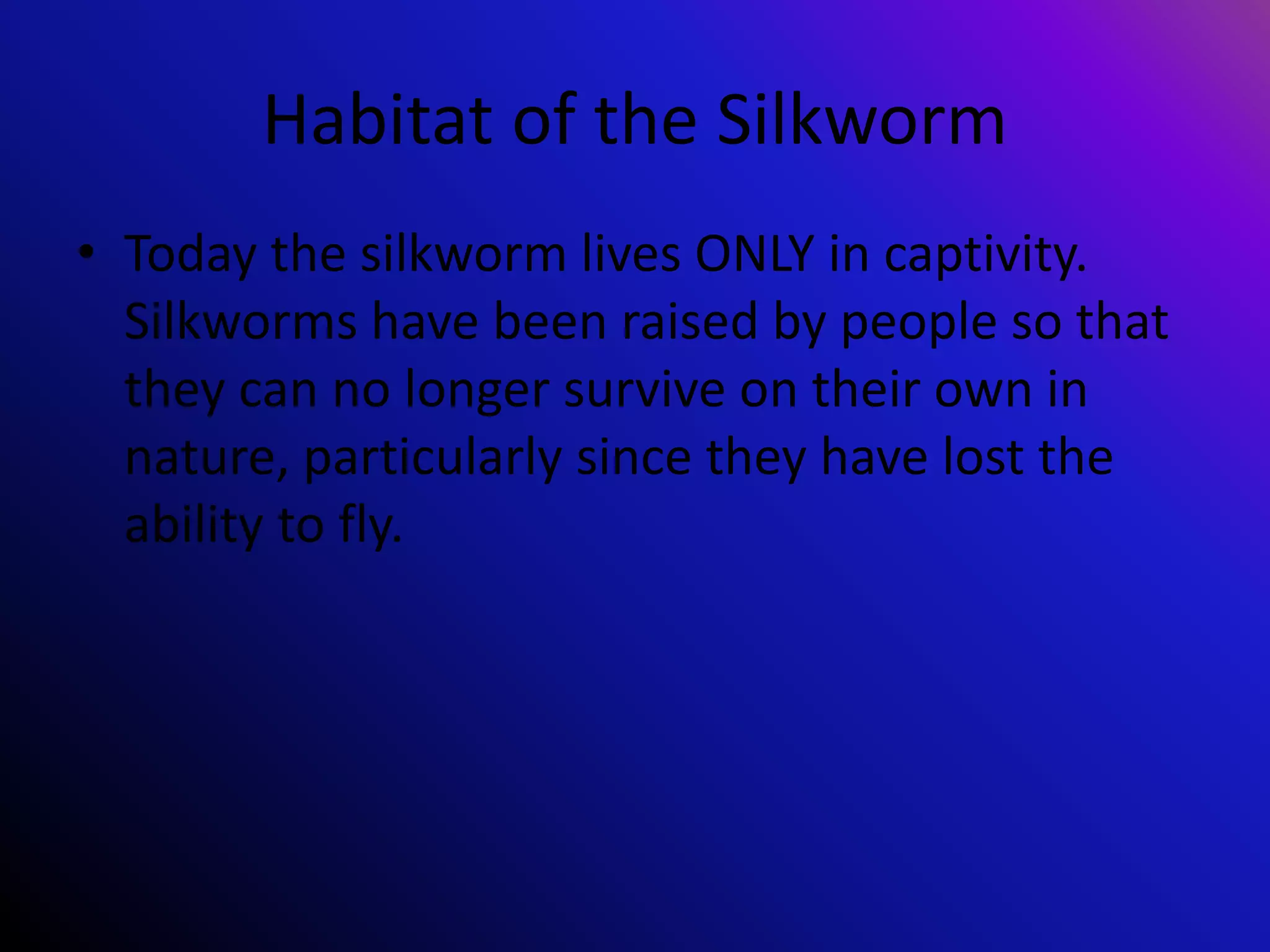 All About Silkworms | PPTX