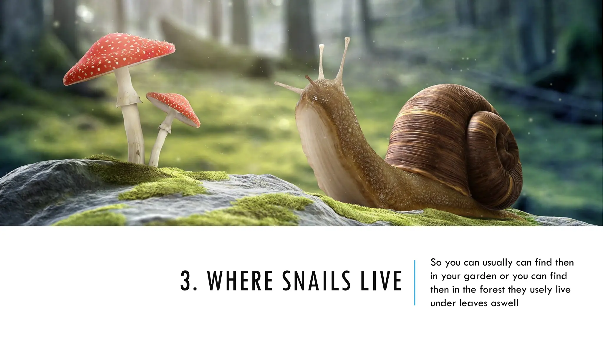 All about snails and their properties .pptx