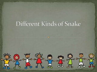 All About Snakes | PPTX