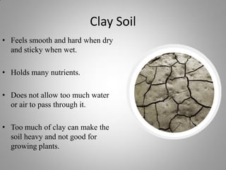 Old Version of Study Guide for Soils Unit (Please see comment for new ...
